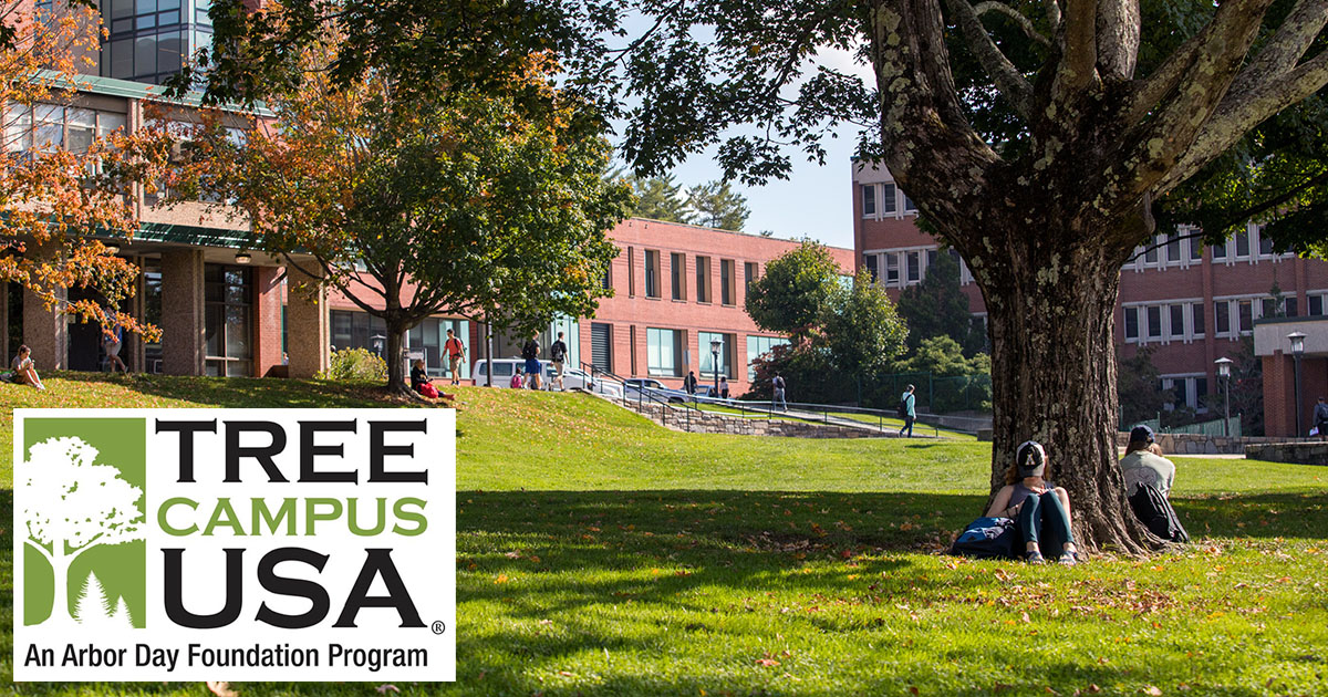 Appalachian — a Tree Campus since 2014 — welcomes new trees to campus ...