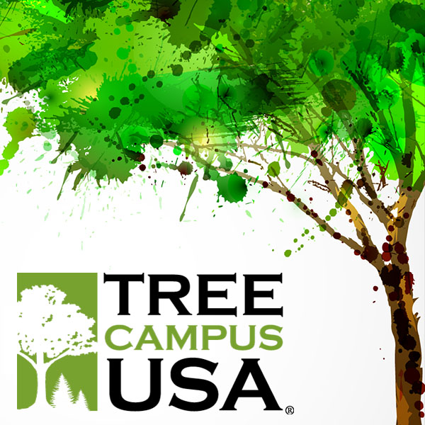 Appalachian — a Tree Campus since 2014 — welcomes new trees to campus ...