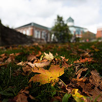 App State shares biannual status report of its fraternities and ...