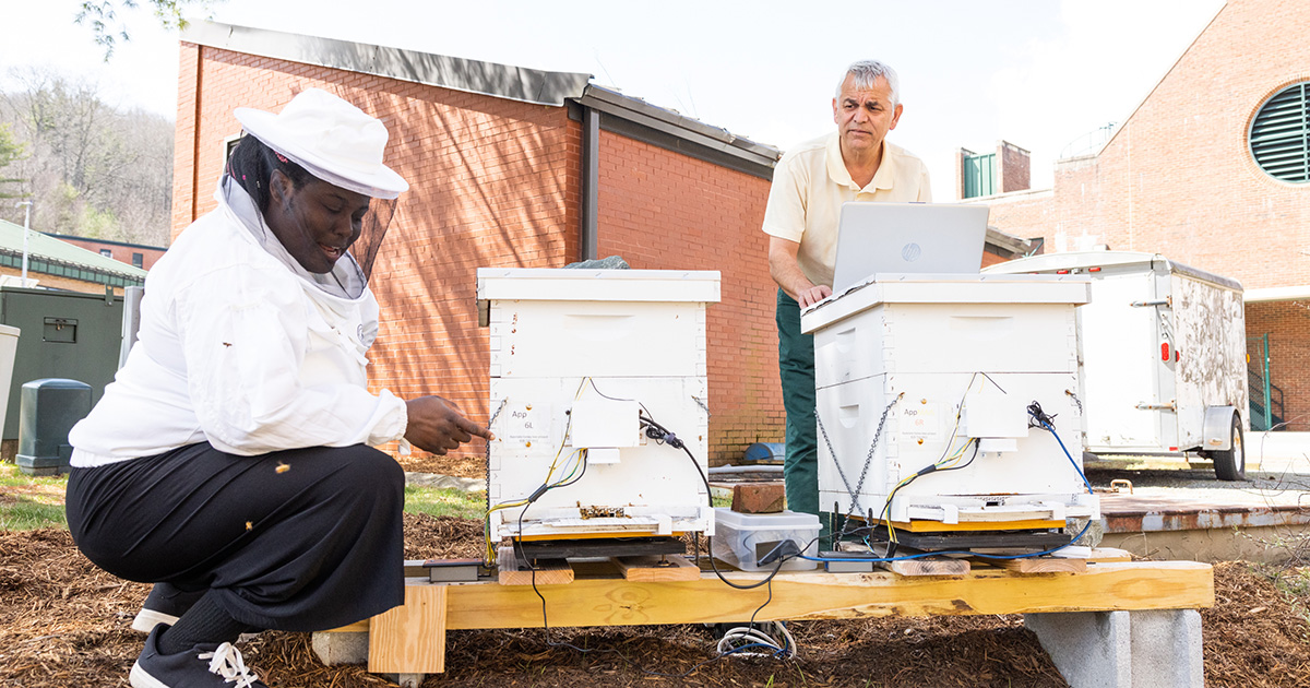 App State team’s beehive monitoring system buzzes toward market with ...